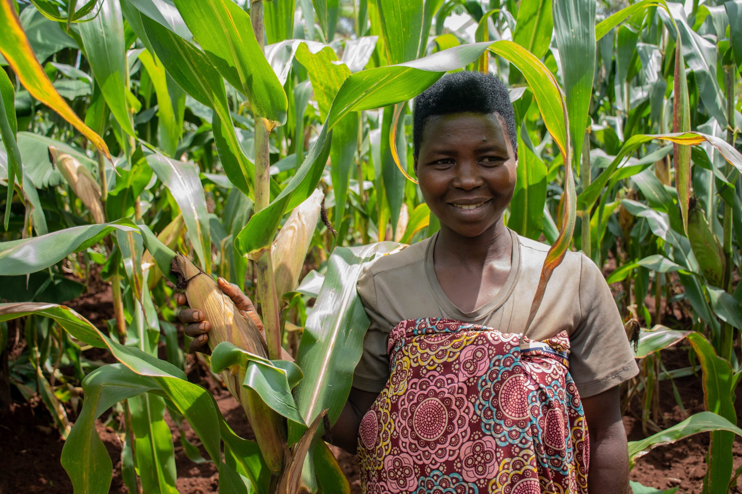 Burundi : L'ONGe One Acre Fund stimule l'agriculture à Mwaro.